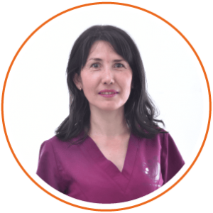 Nuestros servicios - El Comite